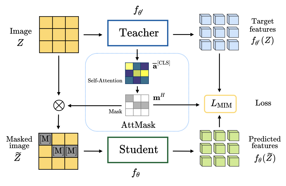 Mask Autoencoder 各类变体 - 知乎