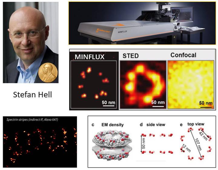 一文读懂多种超分辨成像方式（STED、STORM、PALM、PAINT、MINFLUX）的基本原理 - 知乎