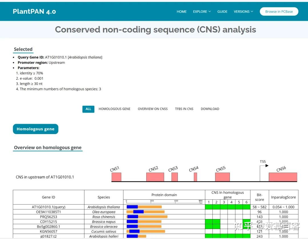 PlantPAN 4.0:探索植物转录因子和启动子的调控数据库 - 知乎