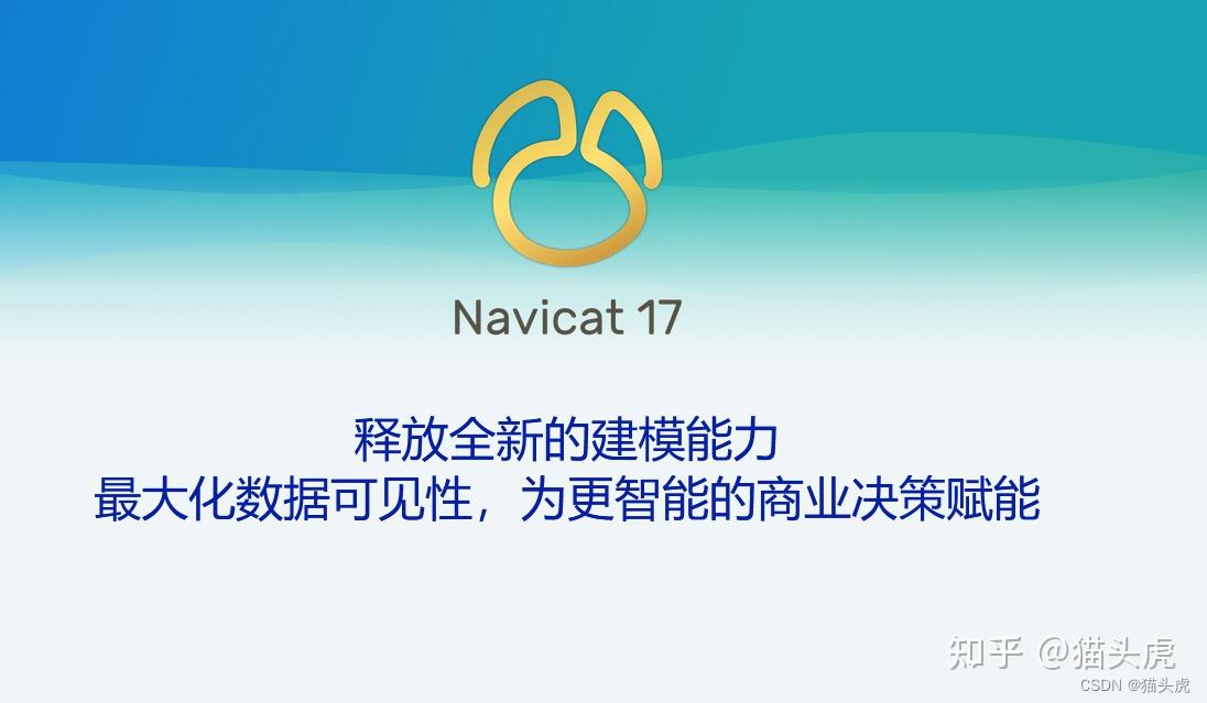 2024 最新版 Navicat 17 下载与安装步骤及演示 (图文版) - 知乎