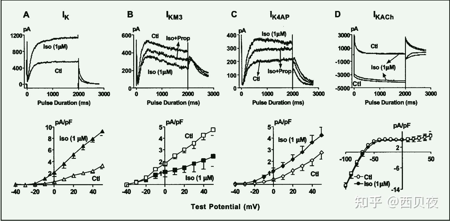 心脏毒蕈碱乙酰胆碱受体的电生理学特征：不同亚型介导不同的钾电流 - 知乎