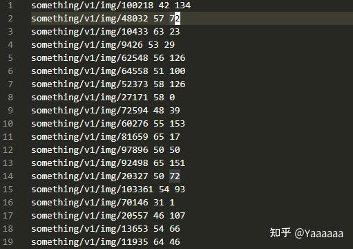 [动作识别] Something-Something-v1数据集操作记录 - 知乎