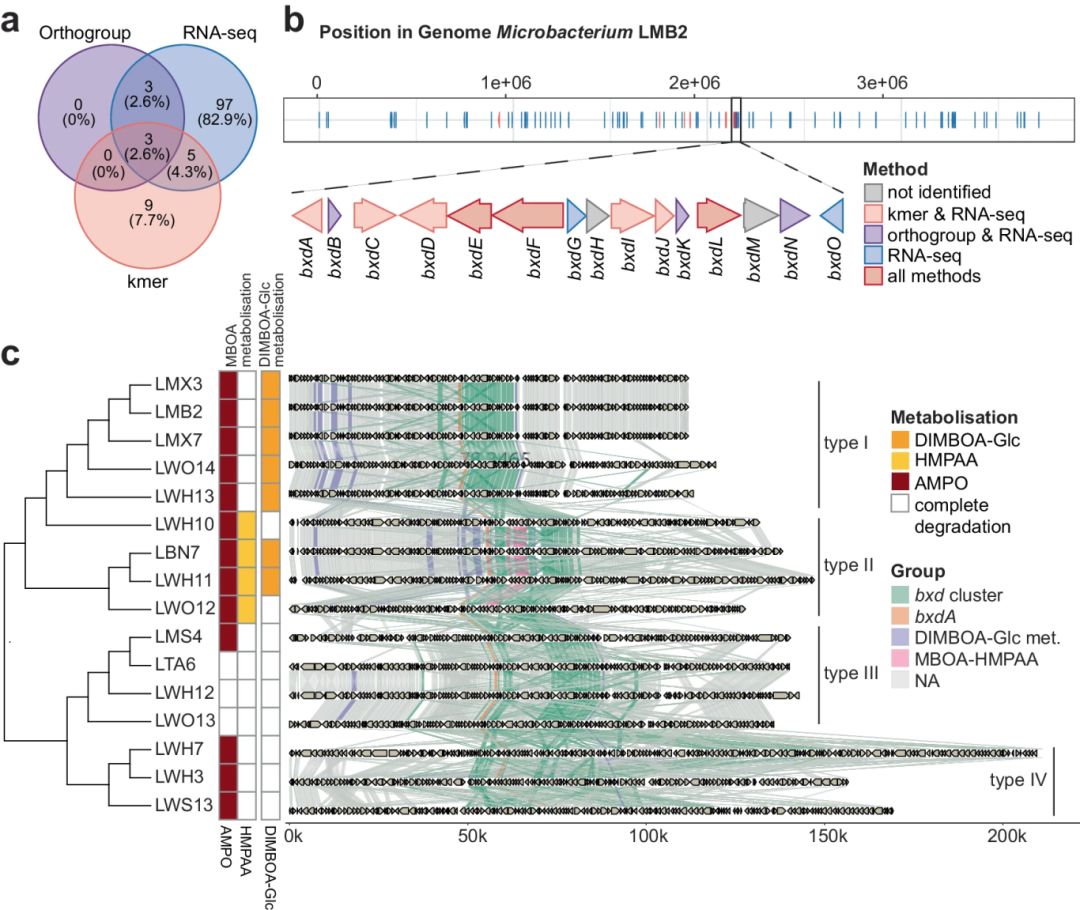 Nature Commun | 植物特异性代谢物选择具有代谢能力的根系细菌 - 知乎