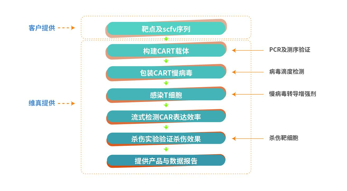 CAR-T是什么？ - 知乎