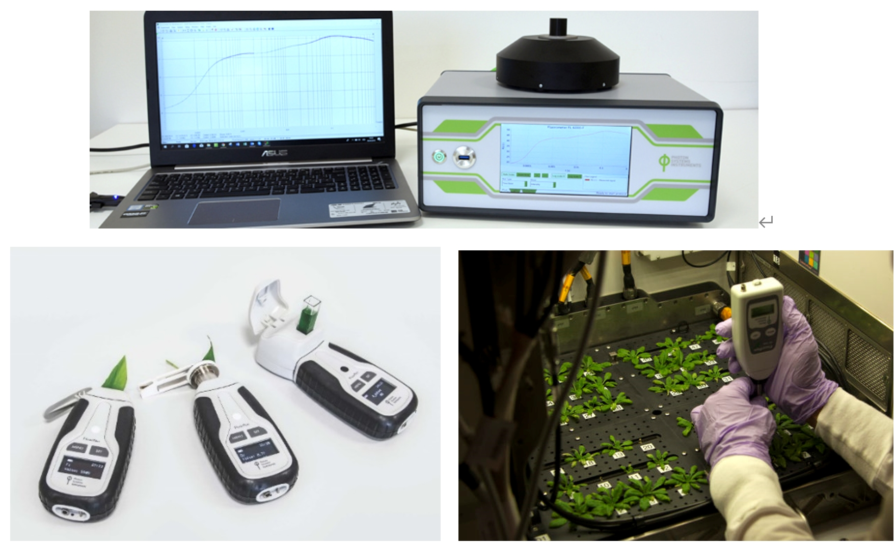 一文看懂如何选配适用的叶绿素荧光成像仪器 - 知乎
