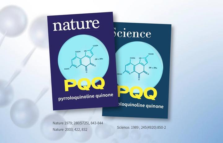 出道即热点的PQQ是什么？ - 知乎