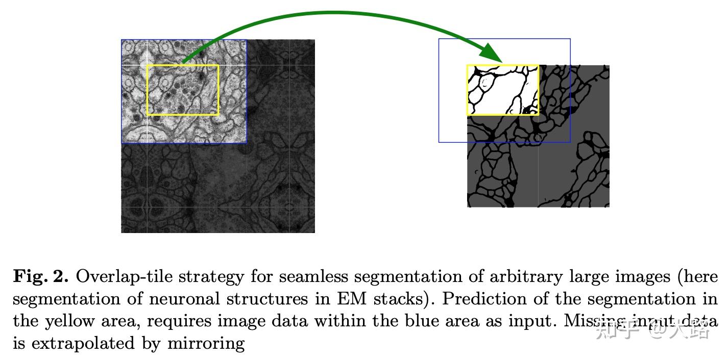 U-Net: Convolutional Networks for Biomedical Image Segmentation论文阅读 - 知乎