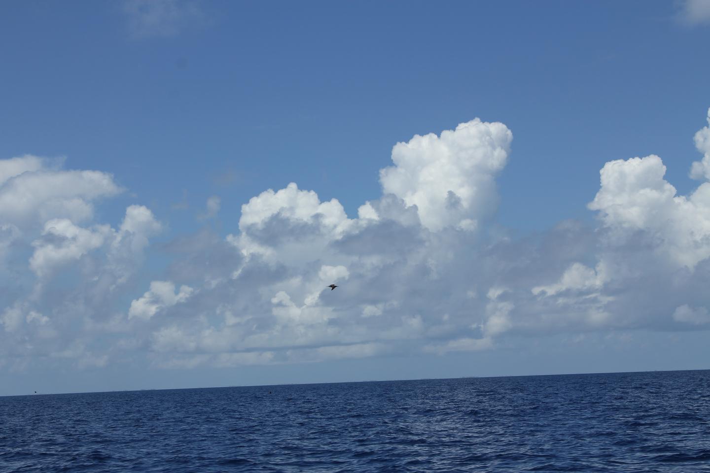 Pytorch学习笔记之Conv2D卷积 - 知乎