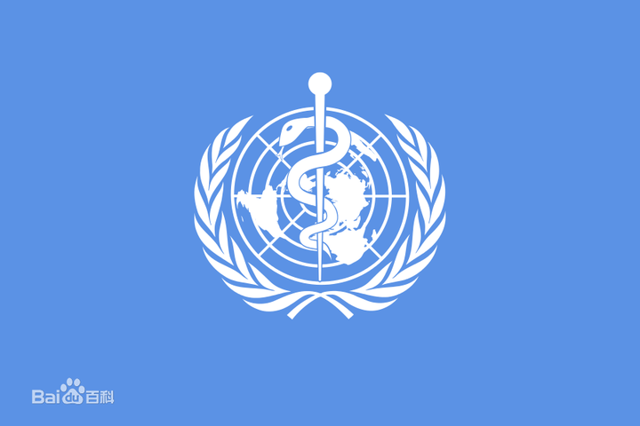 WHO-CoPP药品证明书模板 - 知乎