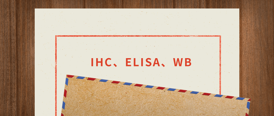 IHC、ELISA和WB区别 - 知乎