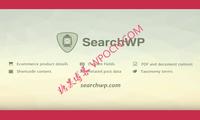 SearchWP – 高级搜索插件(已汉化) - 知乎
