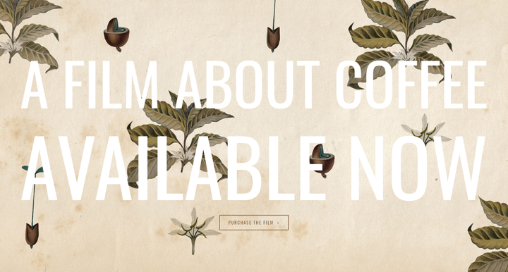 《一部关于咖啡的电影》 A Film About Coffee - 知乎