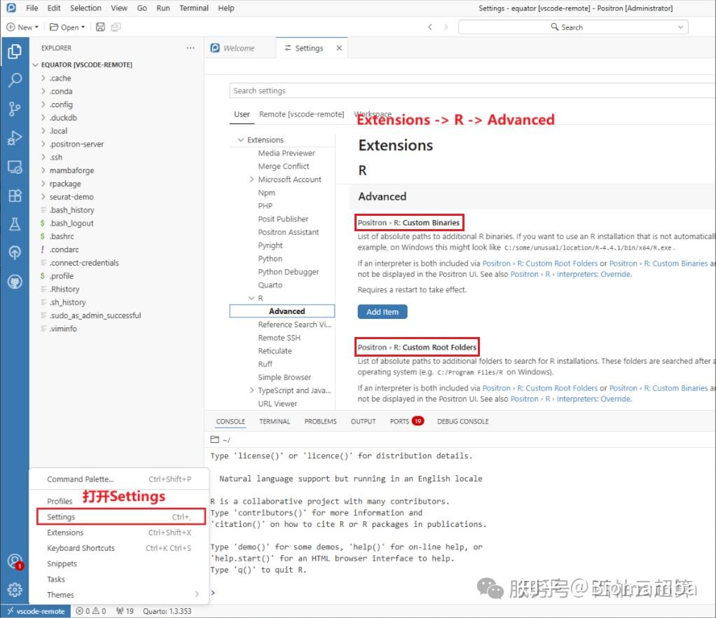 抛弃Rstudio后的Positron秘籍 - 知乎