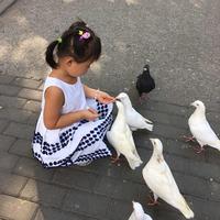 几种场景中bazel toolchain如何配置 -- 学习记录 - 知乎