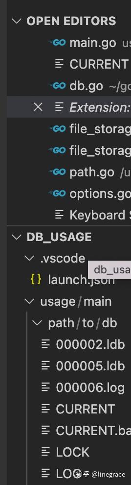 Vscodecode Server 怎么看go依赖、go Mod的源码go语言推荐vscode插件 知乎