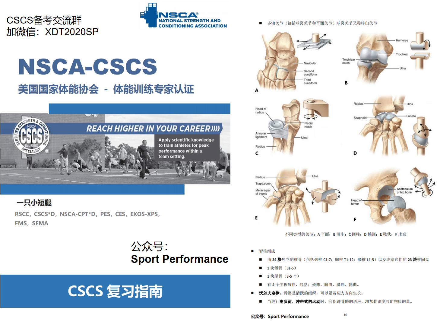 最全面的NSCA-CSCS美国体能协会私人教练认证备考攻略！ - 知乎
