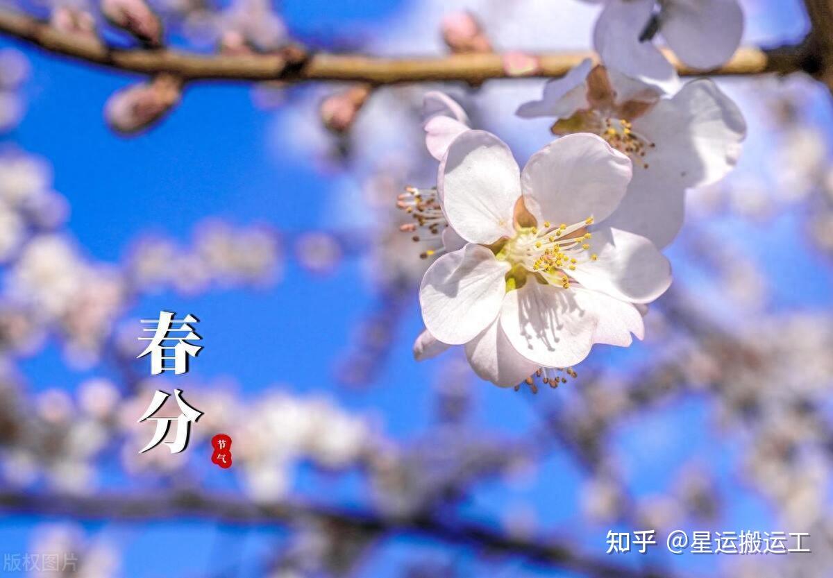 12星座代表24节气与性格 - 知乎