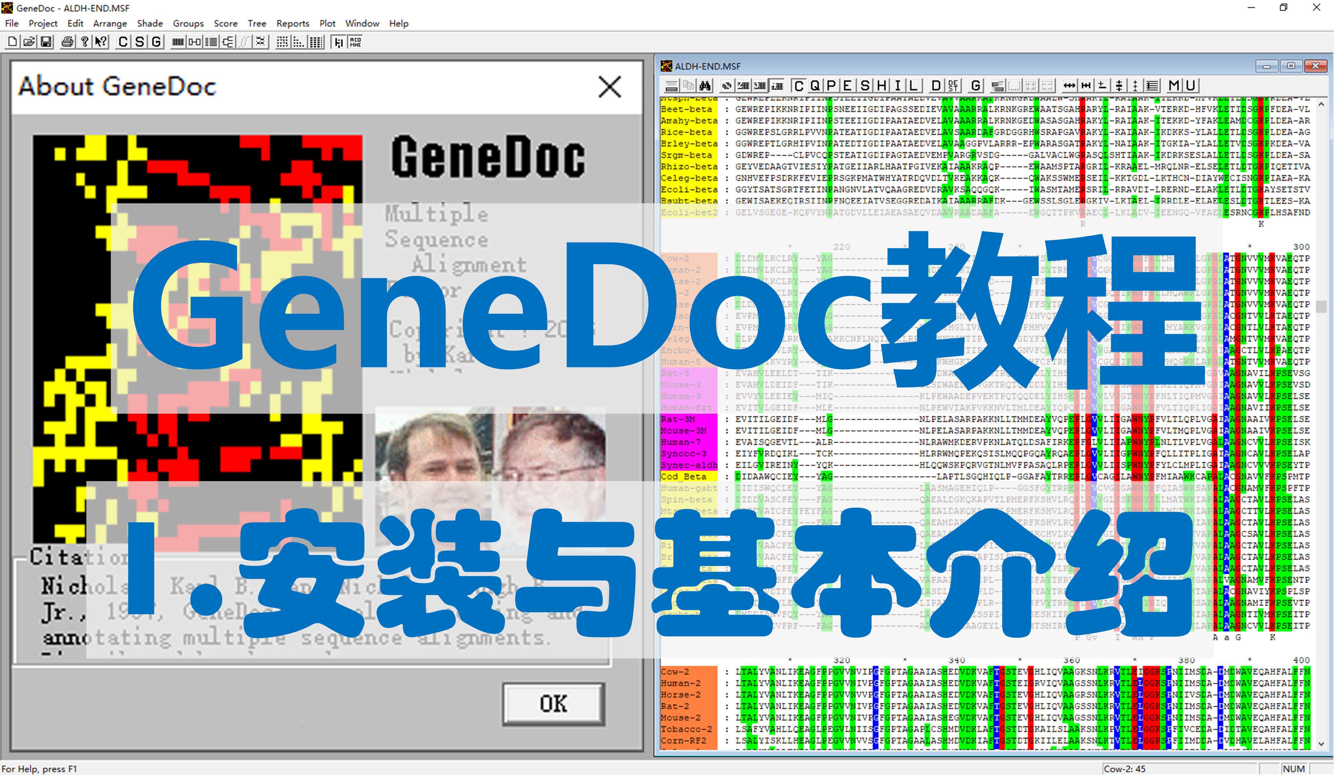 【四方居士】GD#1多序列比对美化软件GeneDoc的基本介绍与安装 - 知乎