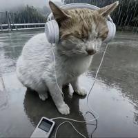 Paper阅读：以World Model为数据引擎的VLA模型 - 知乎