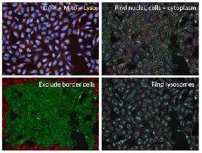 Revvity Operetta CLS 高内涵成像系统助力您的生命科学研究 - 知乎