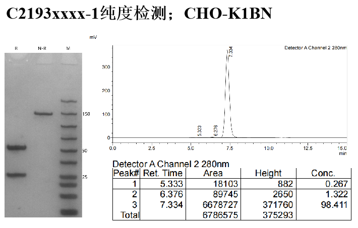 重磅上市 | 百英生物CHOK1-FUT8去岩藻糖抗体表达平台 - 知乎