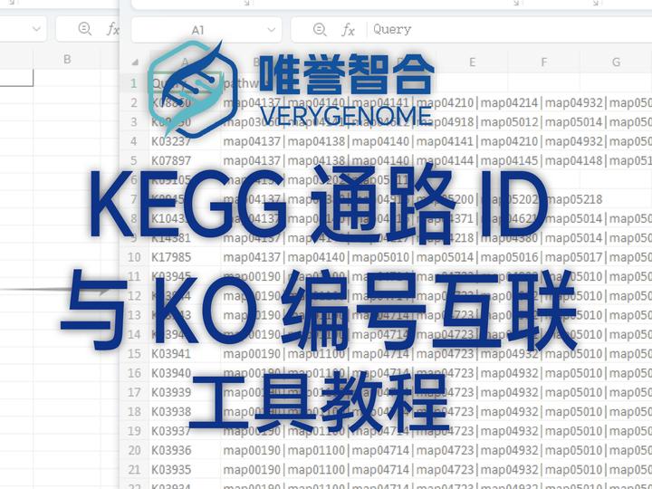 科研高效化，KEGG通路ID与KO编号快捷转换！ - 知乎