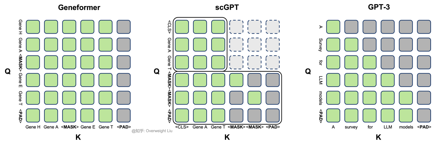 (六) scGPT｜独特的 Tokenization 体系和生成式预训练策略下的单细胞基座模型 - 知乎