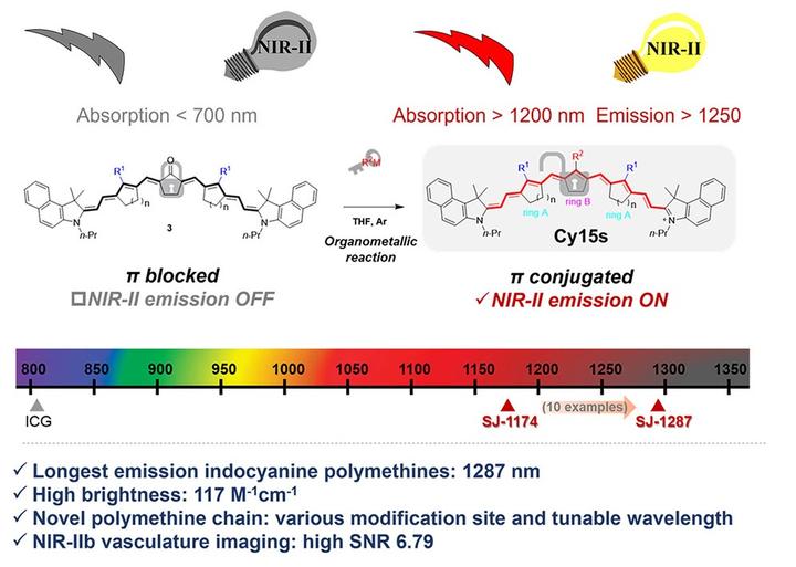 染料探针 | 通过扩展π共轭构建具有1200nm以上发射的吲哚菁聚甲炔荧光团以增强NIR-II成像效果 - 知乎