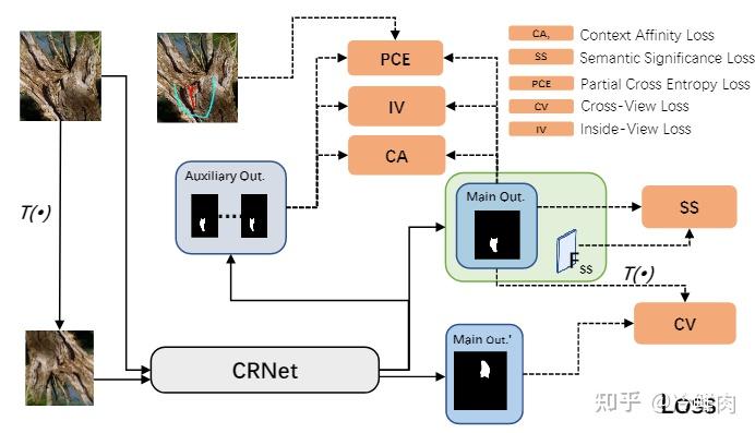 Weakly-Supervised Camouflaged Object Detection with Scribble Annotations - 知乎