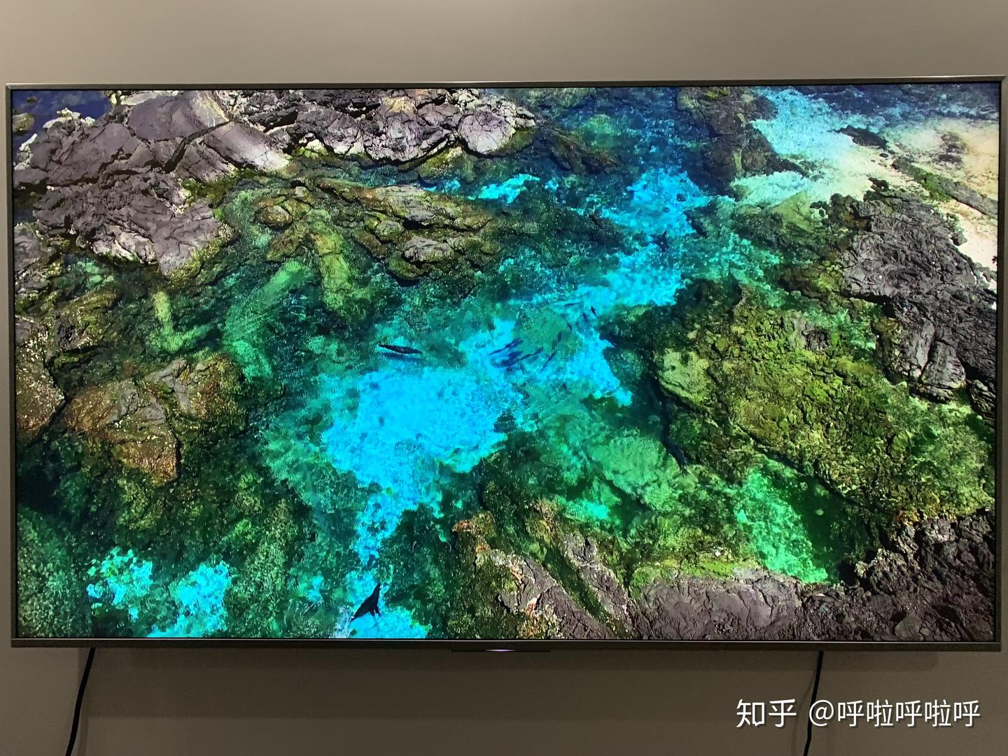 4K厅 篇一：4K纪录片究竟有多少？珍藏好这份全球最全4K超清蓝光纪录片清单（第1-10部） - 知乎