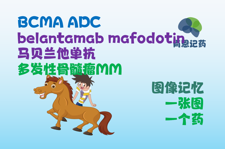 记住所有FDA生物药 | BCMA ADC | Belantamab mafodotin 马贝兰他单抗 | 多发性骨髓瘤MM - 知乎