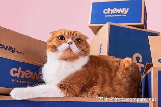 重磅！北美宠物电商巨头Chewy开放中国卖家入驻？！ - 知乎