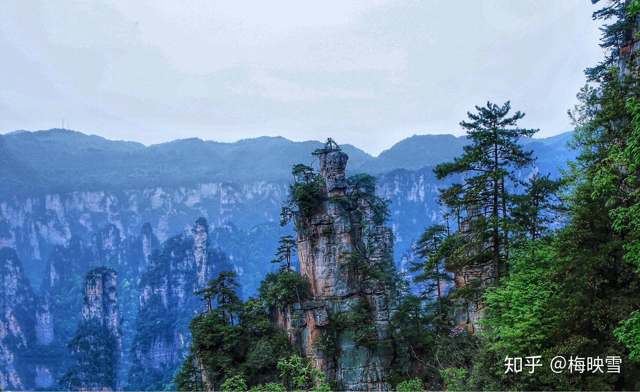 如何对待伤害过自己的人？ - 知乎