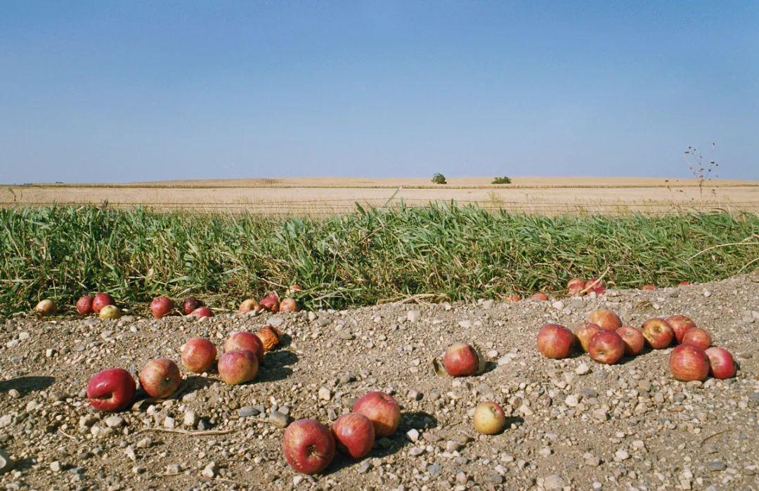 Alex Webb | 全集：99%的街拍照片都是失败的 - 知乎