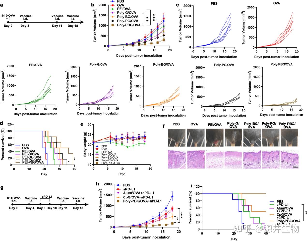 三分钟带你了解OVA稳转细胞模型！ - 知乎