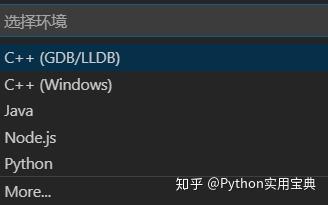 Python 使用VS Code进行调试 - 知乎