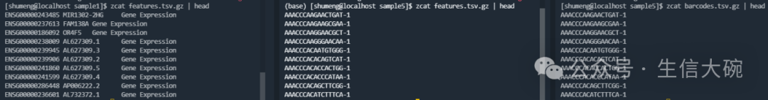 Nature子刊figure复现！单细胞文章复现系列（一） - 知乎