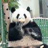 如何评价何恺明 (Kaiming He)仅用一年便取得了MIT终身教职？ - 知乎