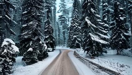 Open-Sora v1.1 技术报告解读 - 知乎