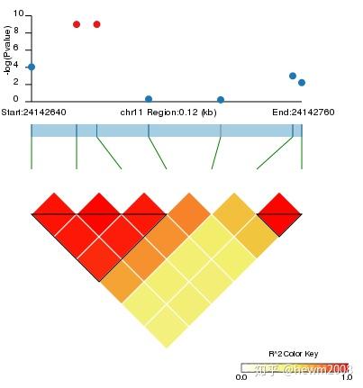 连锁不平衡LD (popLDdecay+ LDBlockShow) - 知乎