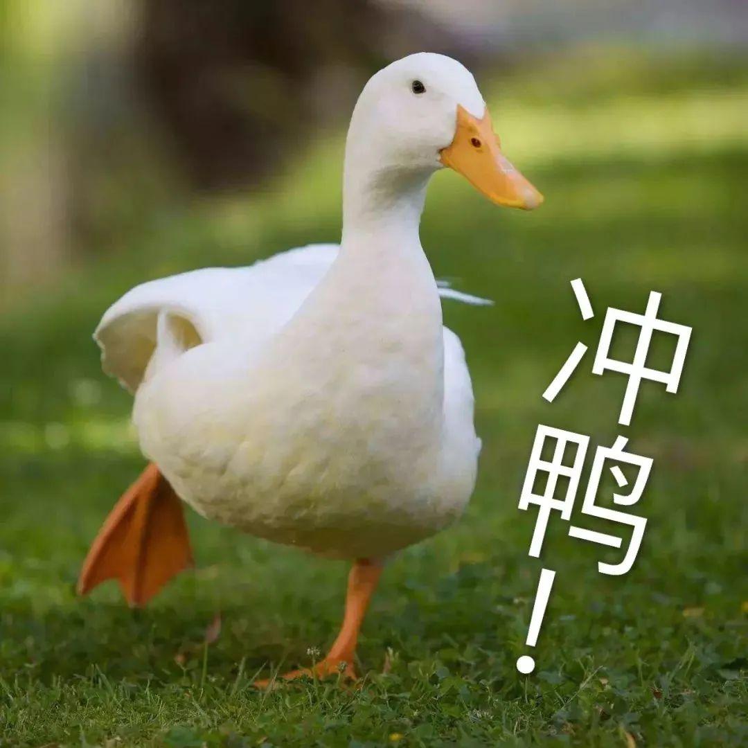 【vue 3入门】认识vue 3前端开发框架，了解vue3新特性！ 知乎 1790