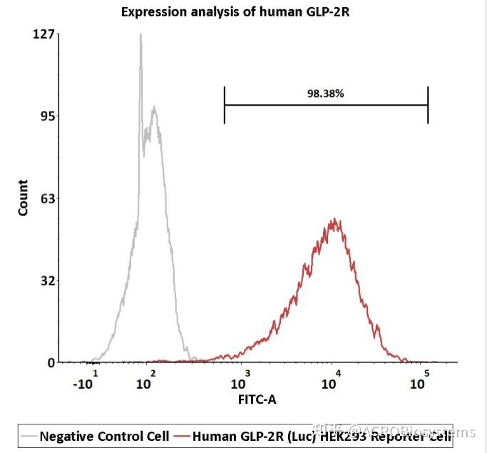 【肠道好帮手】GLP-2R功能细胞株助力肠道疾病激动剂开发 - 知乎
