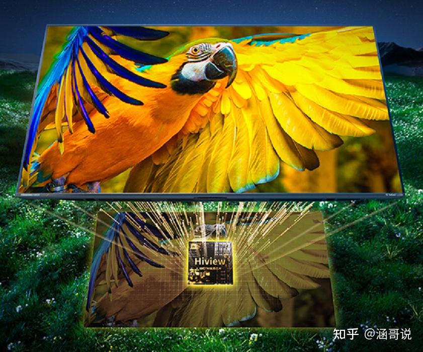 海信Mini LED电视怎么选？E5N Pro，E5N Pro+，U7N，U8N Pro，E8N Pro，E8N Ultra，E5N，E7N，E8N系列，哪个系列画质更好？哪个系列性价比更高 ...