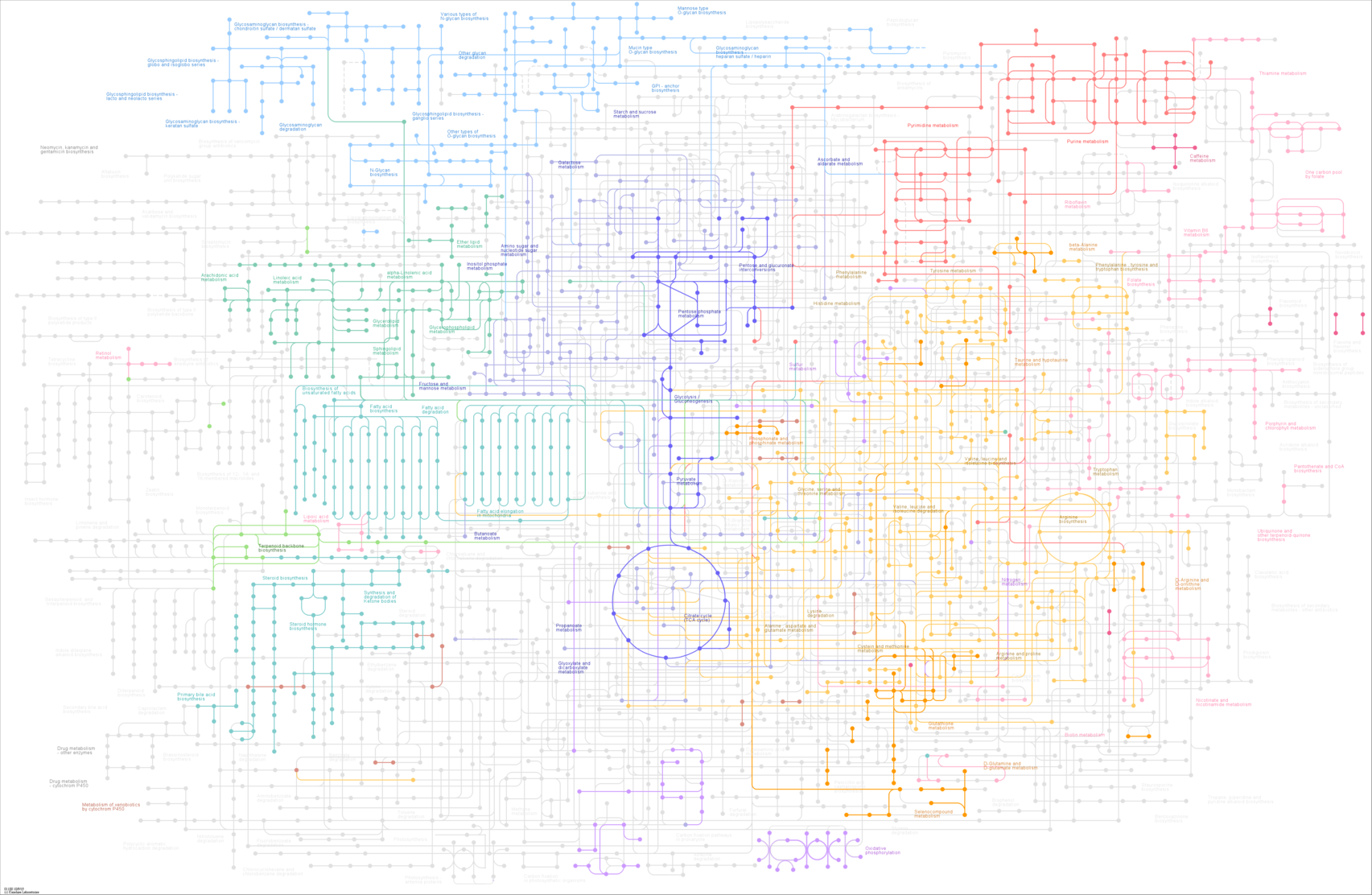 一文快速读懂 KEGG 数据库与通路图 - 知乎