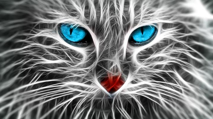 魔幻光影滤镜（1）：Gabor Filter 原理与实现（python & C++） - 知乎