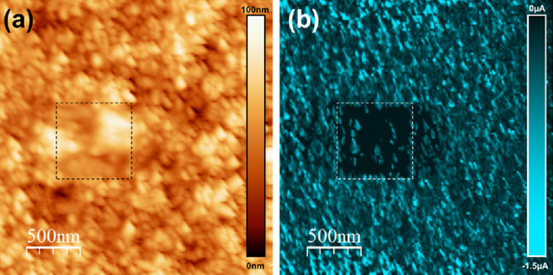 一线大佬详解！关于AFM，读这篇文章就够了 - 知乎