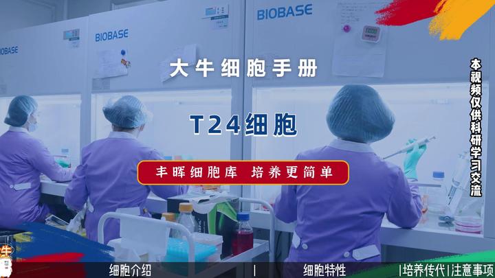 T24细胞培养，人膀胱移行细胞癌细胞培养攻略 - 丰晖生物 - 知乎