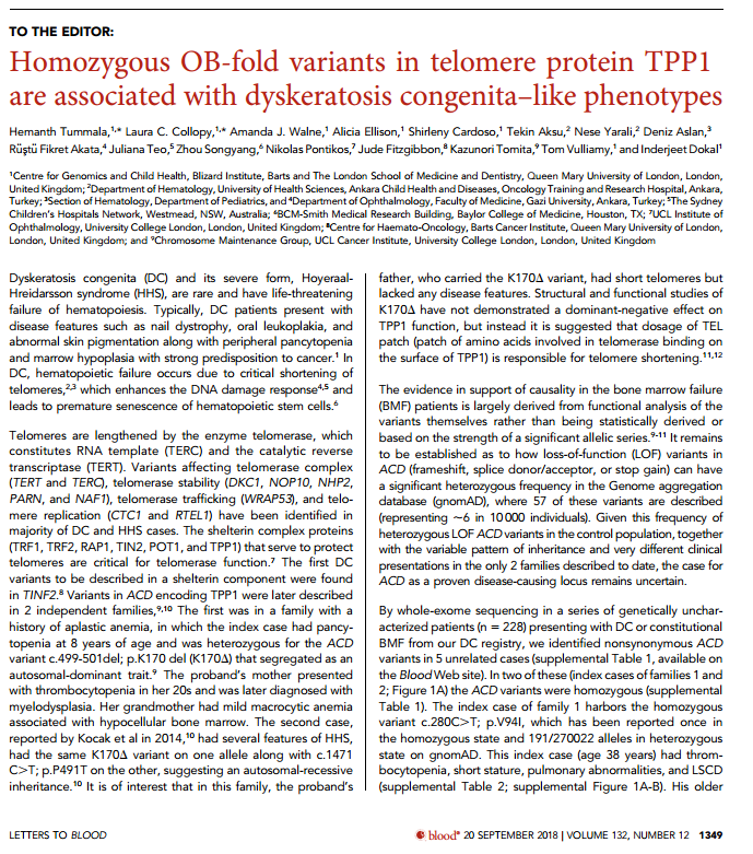 【文献翻译】端粒蛋白TPP1纯合子OB-fold变异与先天性角化不良样表型相关 - 知乎