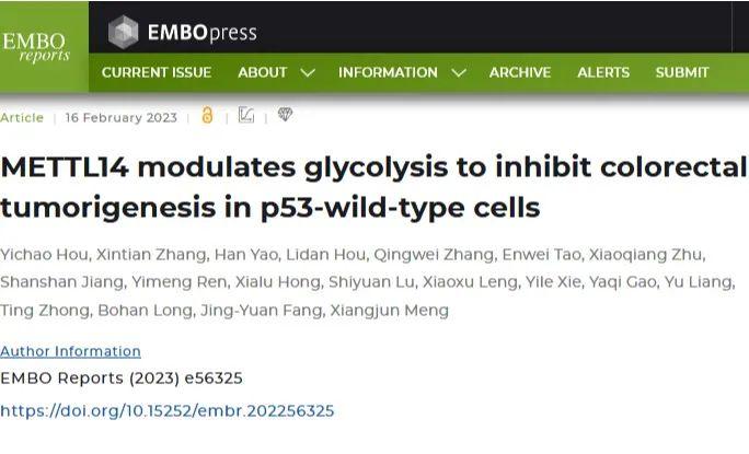 【EMBO Rep】孟祥军/房静远团队揭示METTL14抑制p53野生型结直肠癌发展的新机制 - 知乎