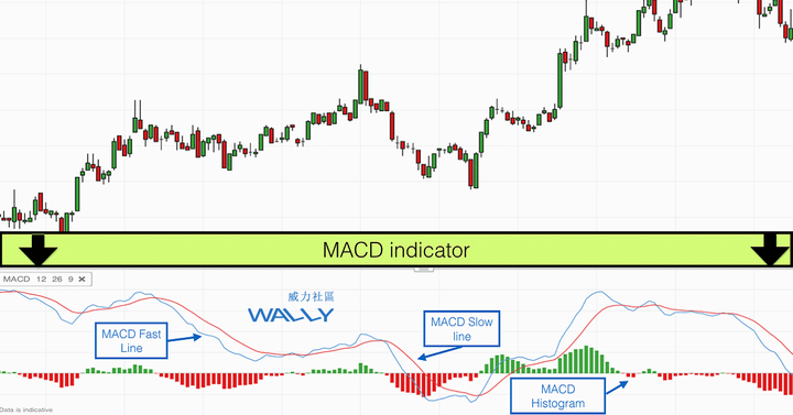 使用MACD 和 CCI 的 30 分钟图表交易策略 - 知乎